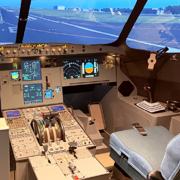 Pasionați și curioși | Simulatoare de zbor